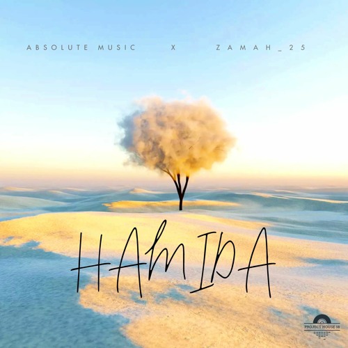 Stream Hamida by Absolute Musiic Collectiv | Listen online for free on ...