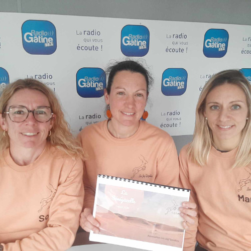 Stream Cinq copines de Gâtine rêvent d’une course humanitaire au ...