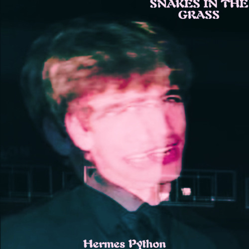 Stream SNAKES IN THE GRASS (prod. benjii570) MAST. HERM by Hermes ...