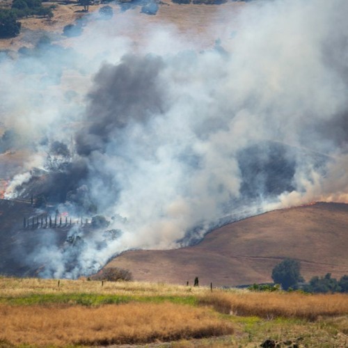 Stream episode Nature’s Early Warning Signs For A Bad Wildfire Season ...