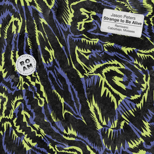 Stream PREMIERE: Jason Peters - Strange To Be Alive (Moisees Remix ...
