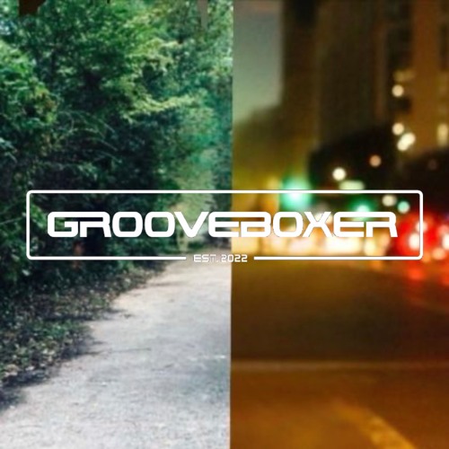 Stream Diamondise (feat. The Artful Dodger Project & Digital Garden) [Radio Edit] by Grooveboxer ...
