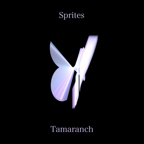 Stream 303 DUB by Sprites | Listen online for free on SoundCloud