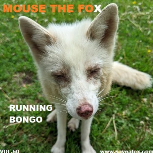 Stream MOUSE THE FOX - RUNNING BONGO - VOL.50 - 19.06.2022 by MOUSE THE ...