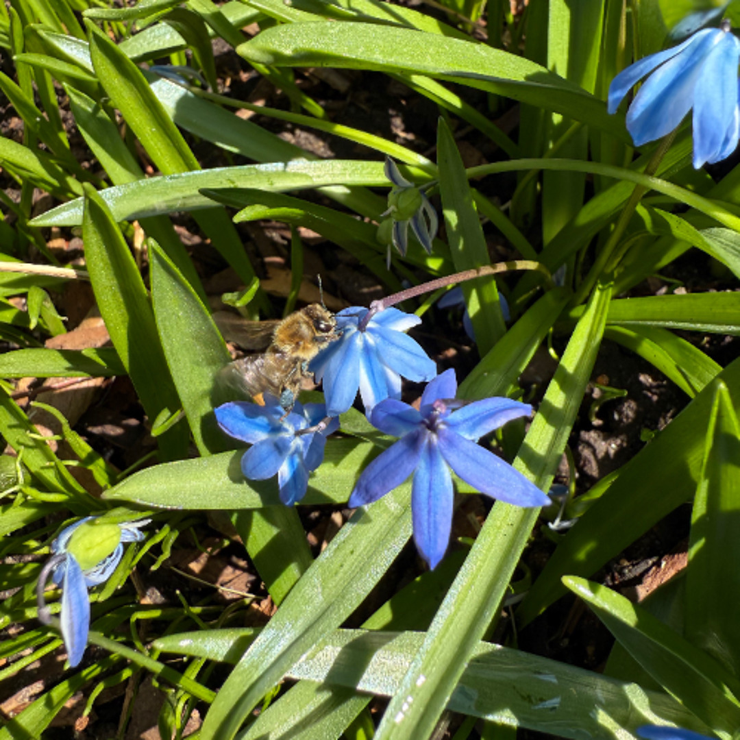 Stream Back and Forth by Deth 2 life | Listen online for free on SoundCloud