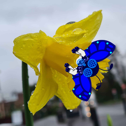 Stream Borough Bugs Credits Theme by ISBSP | Listen online for free on ...