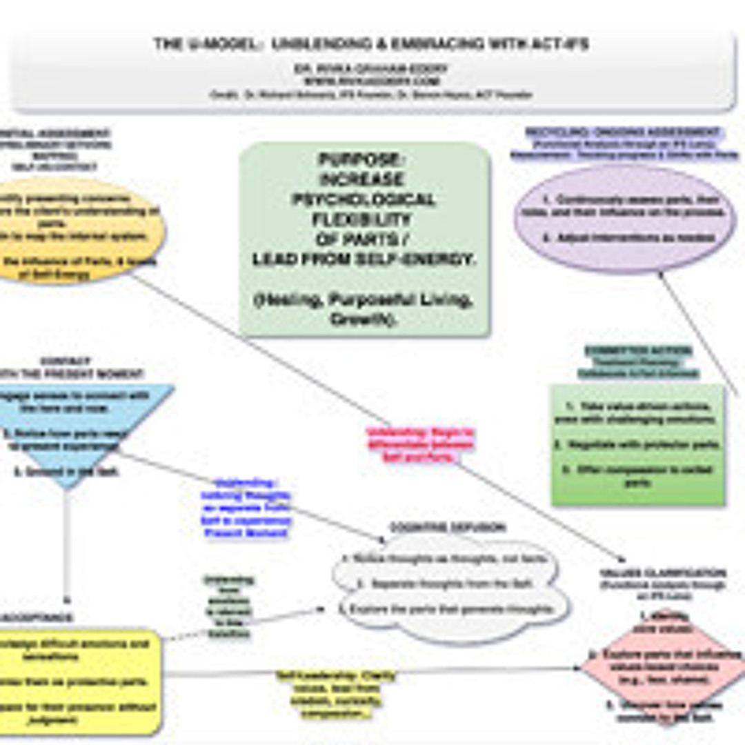Stream 7 Stages of The U Model & 6-Step Framework.WAVE from Dr. Rivka ...
