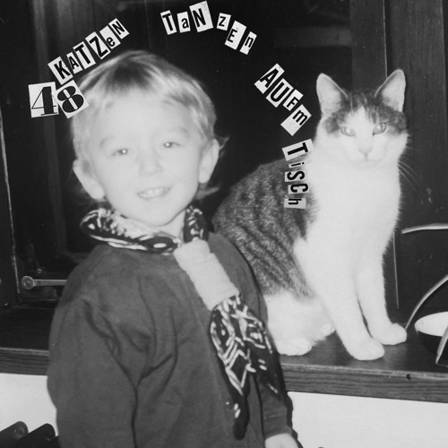 Stream 02.12.2025 | Miras 48 Katzen Closing | Heinz Hopper by Robin Dey ...