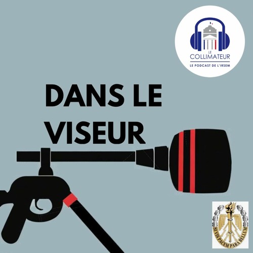 Stream Dans le viseur #50 : Former des chefs by Le Collimateur | Listen ...