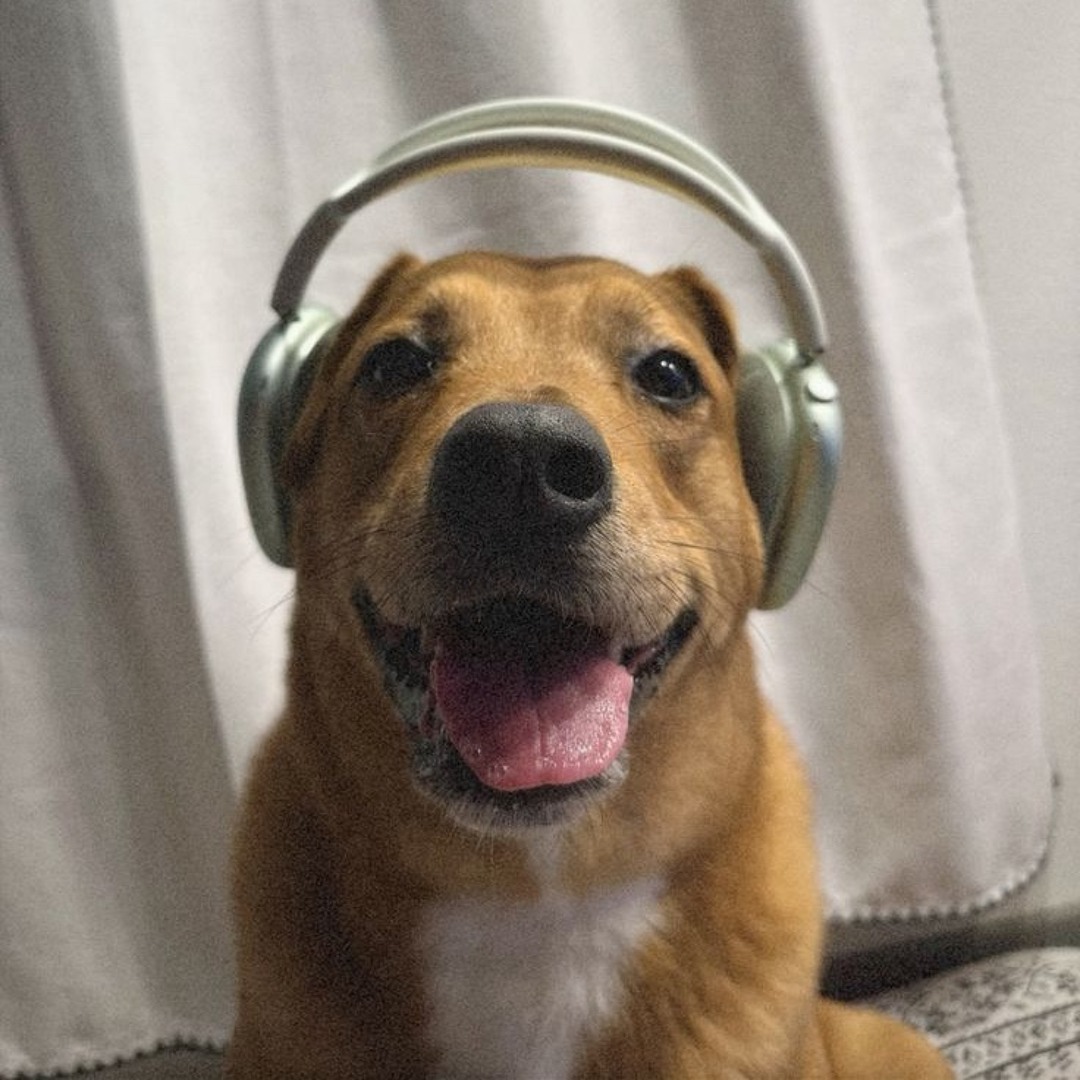 Stream L Dawg | Listen to Don't Paws The Music playlist online for free ...
