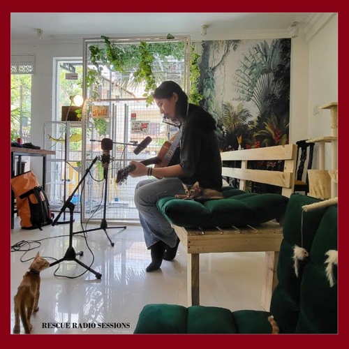 Stream Doin' That Rag (Grateful Dead cover) by Pepper Flakes | Listen ... Stream Doin' That Rag (Grateful Dead cover) by Pepper Flakes | Listen ...