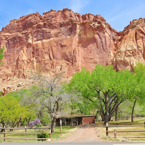 Stream episode Ripple Rock Nature Center by Action Tour Guide podcast ...