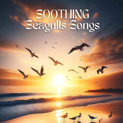 Stream Wave Sound Group | Listen to Soothing Seagulls Songs: Ocean and ...