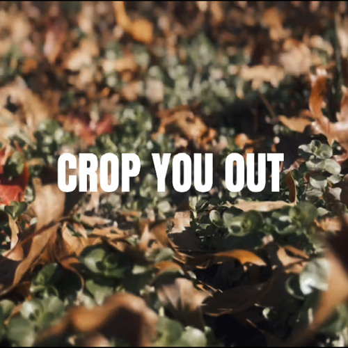 Stream JDaGoat - Crop You Out (Official Audio) by JDaGoat💫 | Listen ...