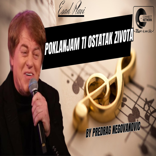 Stream Poklanjam ti ostatak zivota (Live) by Esad Plavi | Listen online ...