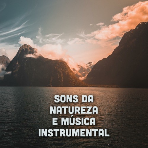 Stream RW Música instrumental com sons da natureza | Listen to Sons da ...