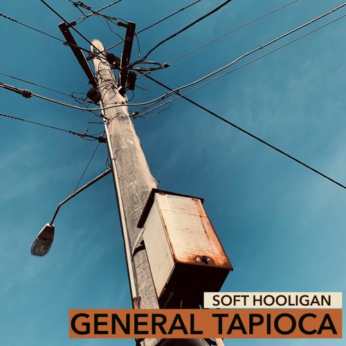 Stream Neon Cactus by General Tapioca | Listen online for free on ...