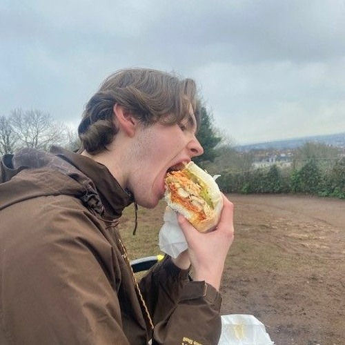 Stream Holsten Vier Mix (AKA the best one yet) by Reece Robson | Listen ...