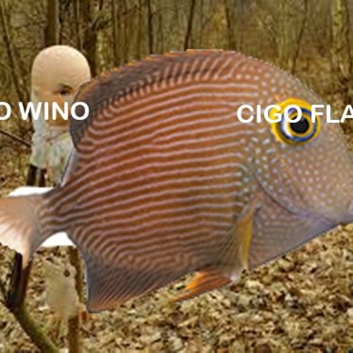 Stream Volare - Wino, Wino (Cigo Flip) by Cigo | Listen online for free ...