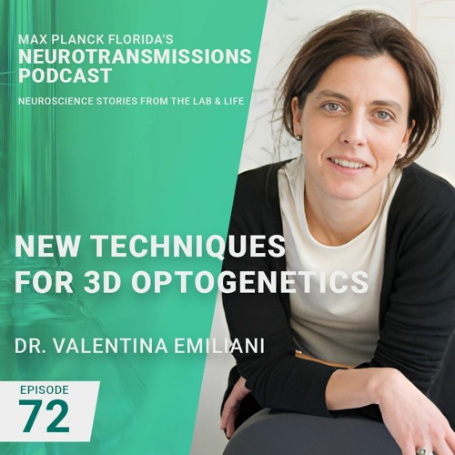 Stream episode 72. New Techniques for 3D Optogenetics with Valentina ...