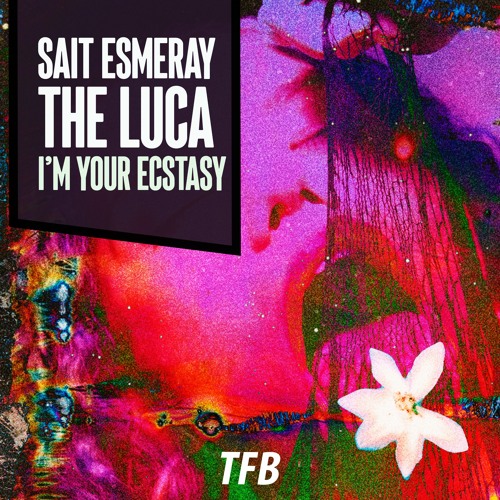Stream Sait Esmeray X The Luca - I'm Your Ecstasy by TFB Records ...