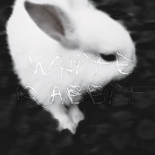 Stream White Rabbit (Jefferson Airplane Cover) by Bailey Holsbo ...