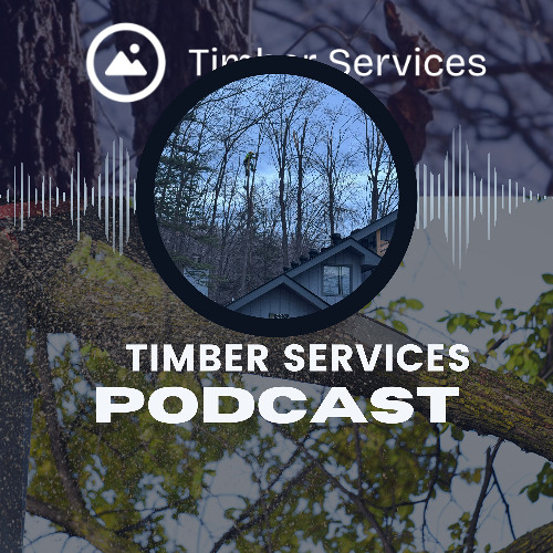 Stream episode Timber Services by Timber Services podcast | Listen online for free on SoundCloud