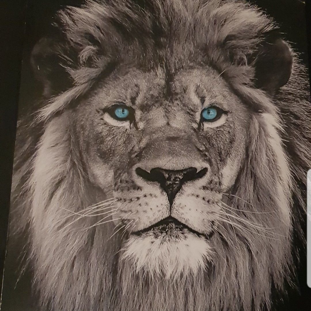 Stream rap chatar ;) by dj pittboulle | Listen online for free on ...