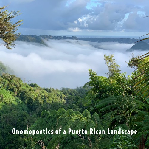 Stream Coquí En Un Helecho Gigante by Raul Romero | Listen online for ...