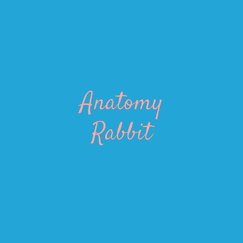 Stream Wonder Why ? by Anatomy Rabbit | Listen online for free on ...