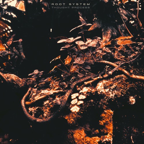 Stream Thought Process | Listen to Root System playlist online for free ...