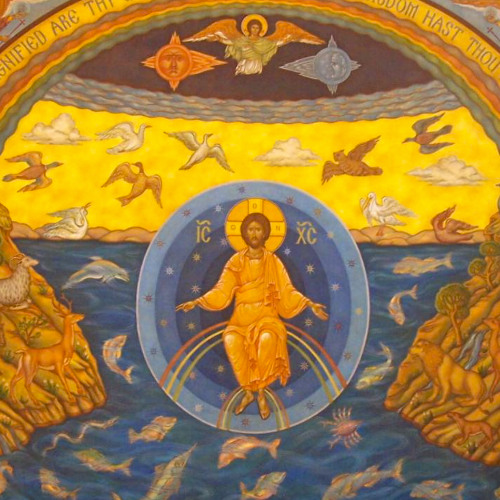 Stream Genesis & Evolution - Science & Faith Series 3 by pierretawfik ...