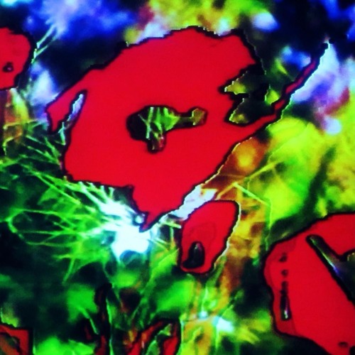 Stream Prayer – from Batikh EP (for Palestine) by dan nicholls | Listen ...