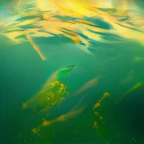 Stream Spongebob Intro Super Idol Edition (Arabic Version) by RSAM_Valk ...