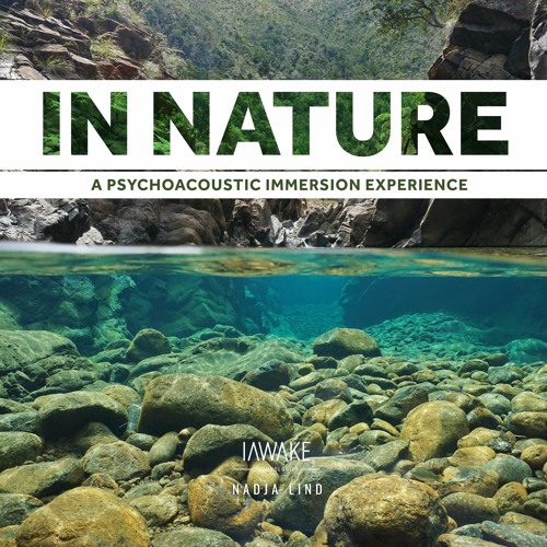 Stream In Nature - SAMPLE by iAwake Technologies | Listen online for ...