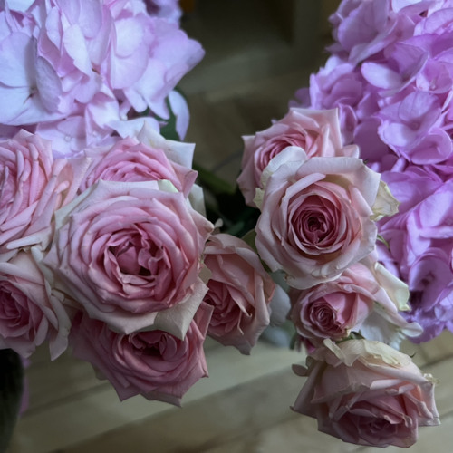 Stream Empathy by Katy Po | Listen online for free on SoundCloud