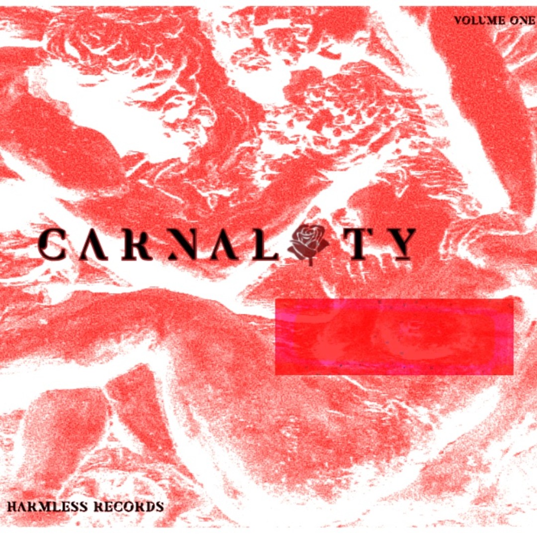 Stream harmless.recs | Listen to CARNALITY VOL. 1 playlist online for ...
