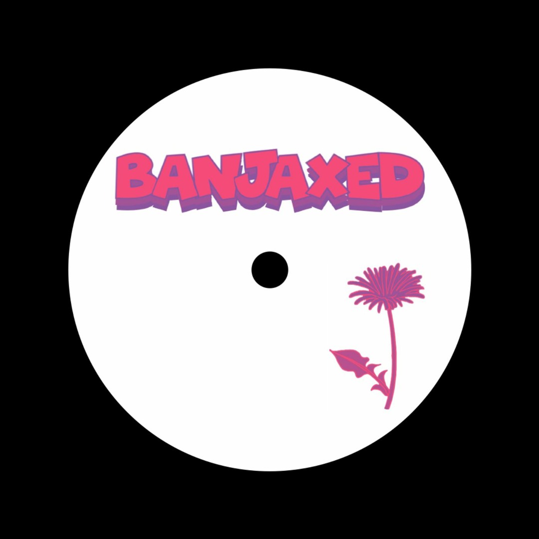 Stream Banjaxed - Flutter by Banjaxed | Listen online for free on ...