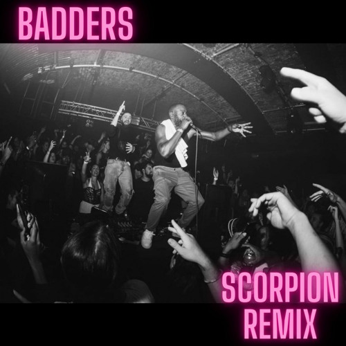 Stream Skrillex, PEEKABOO, Flowdan, & G-Rex - Badders (SCORPION Remix ...