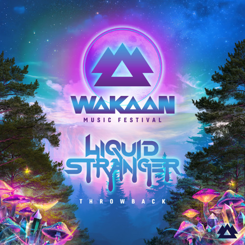 Liquid Stranger @ Throwback Set, Wakaan Music Festival, United States ...