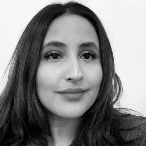 Stream episode Safia Hassani om Troen på jobchancen by Helle Schøler ...