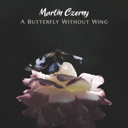 Stream Martin Czerny | Listen to A Butterfly Without Wing playlist ...