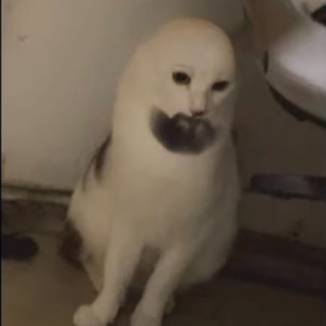 Stream Cucuí Ganon Dos (Extended Mid Suavemente Cut) Suave by BMXMaly ...