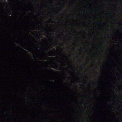 Stream friends (elusin) by oww | Listen online for free on SoundCloud