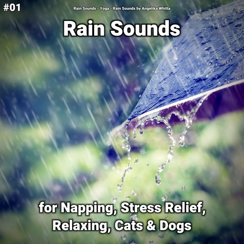 Stream Rain Sounds Listen To 01 Rain Sounds For Napping Stress