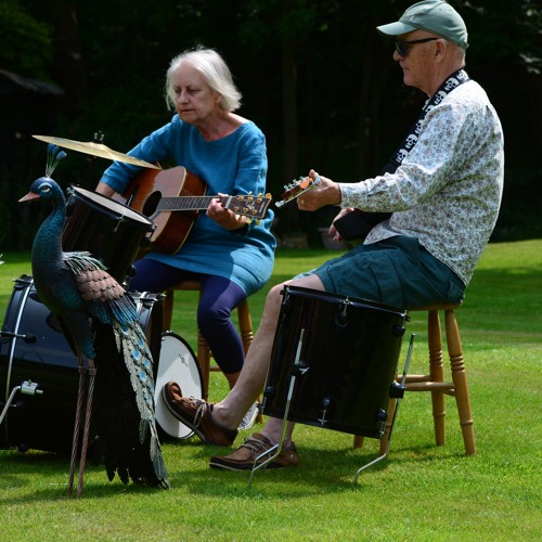 Stream Pallet on your floor by Peacock's Tale Musical Storytelling | Listen online for free on ...