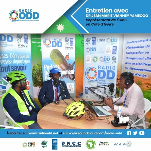 Stream Comprendre les ODD et se les approprier by Radio ODD | Listen online for free on SoundCloud