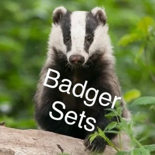 Stream Badger Set 20 by The BadgerJC | Listen online for free on SoundCloud