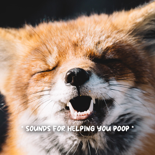 Stream Fart Fest | Listen to * sounds for helping you poop * playlist ...