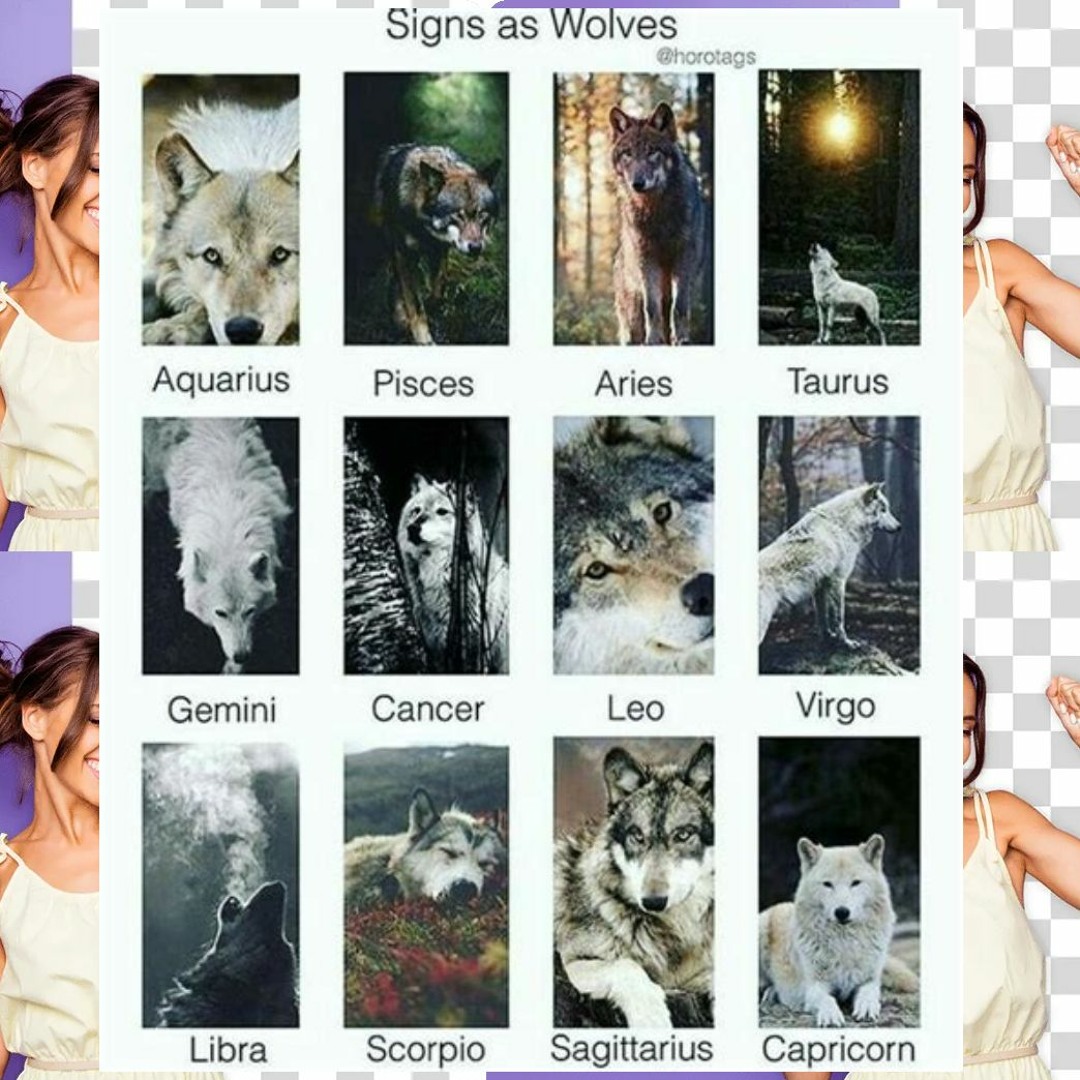 Zodiac wolves pdf 60 photos - Astrologytoyou.com